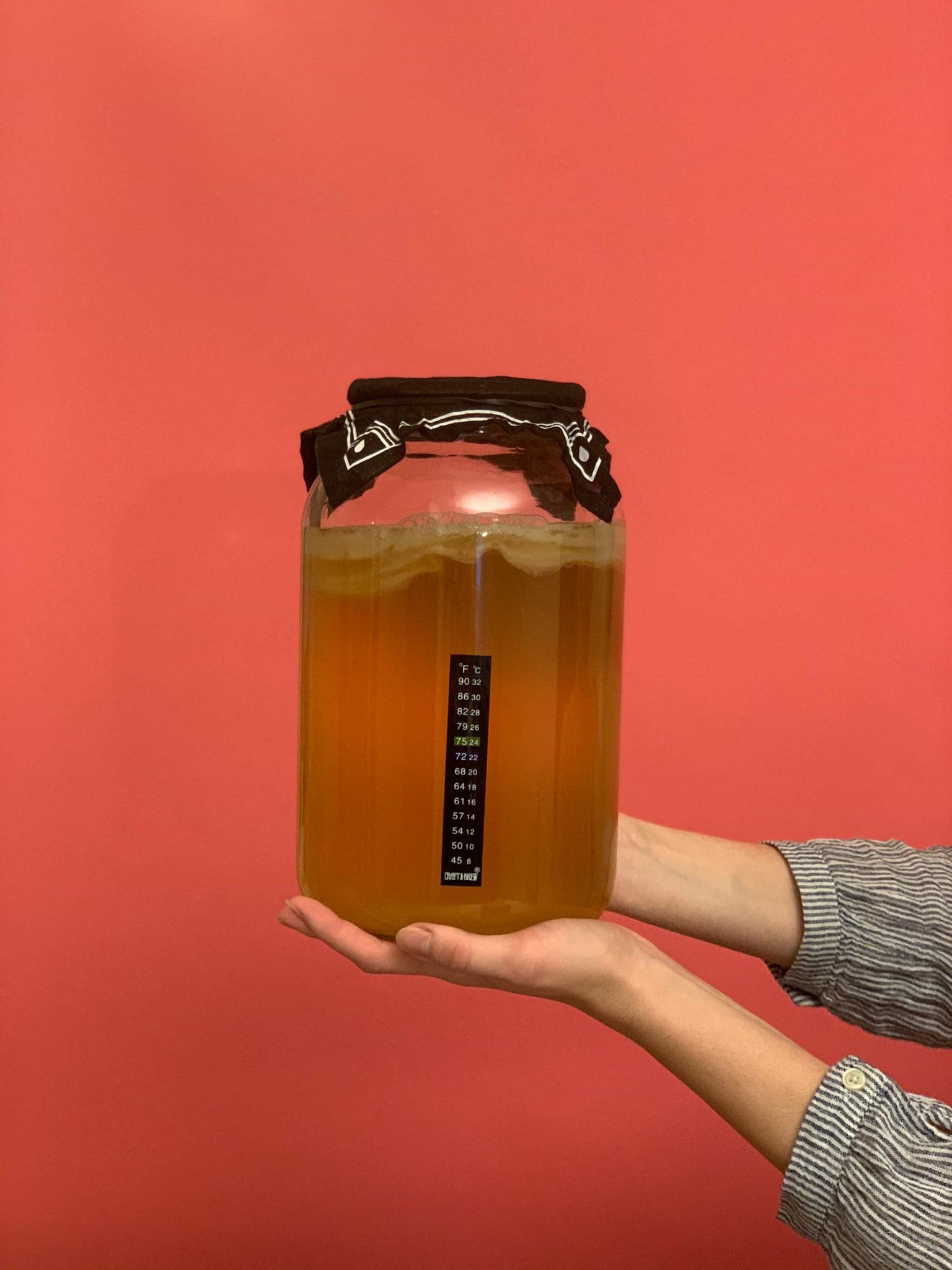 Kombucha Making Kit - How to make it at home | Craft a Brew Blog
