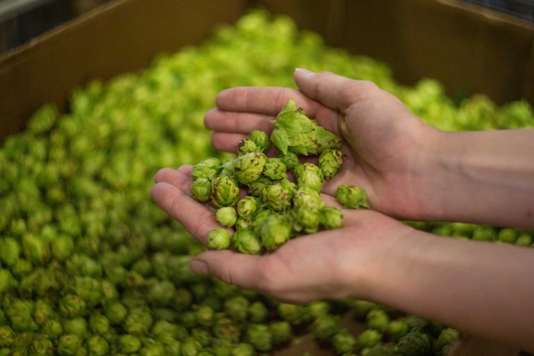 How To Use A Beer Making Kit | Craft a Brew Blog