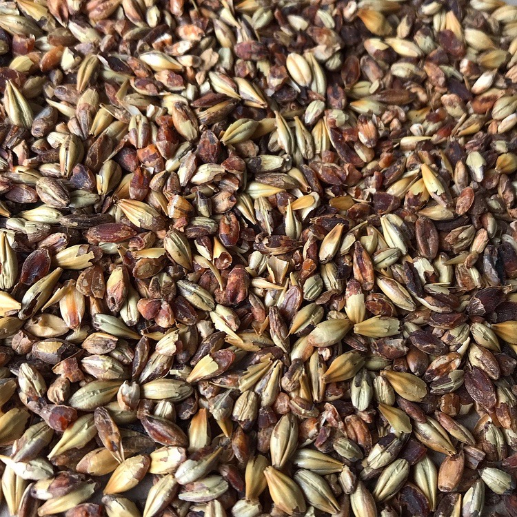 How To Use A Beer Making Kit | Craft a Brew Blog