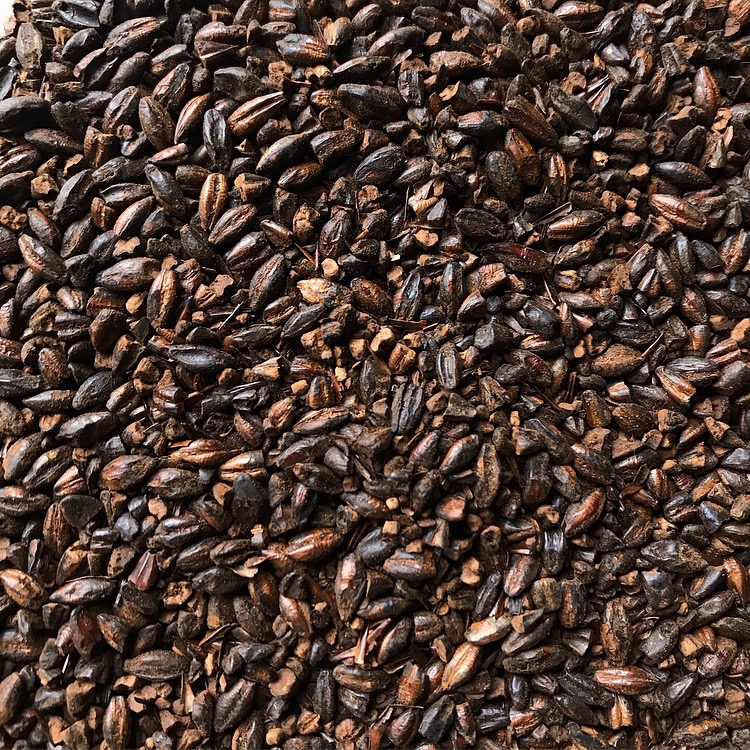 How To Use A Beer Making Kit | Craft a Brew Blog