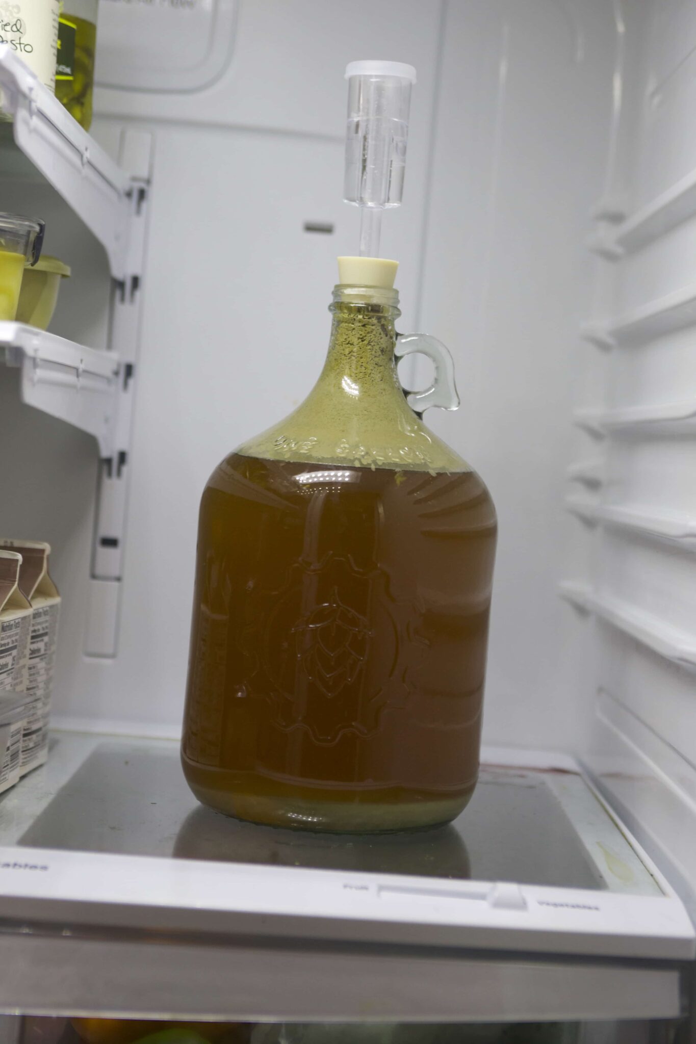 How to lager beer at home: a beginner’s guide | Craft a Brew Blog